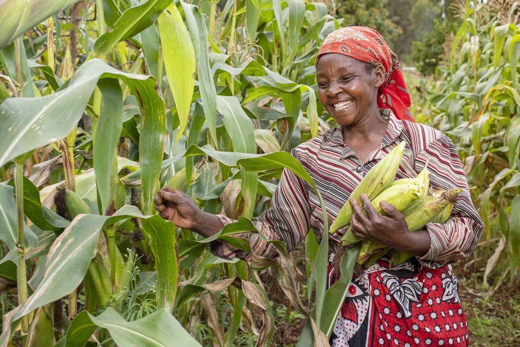 Kenyan Agri-Fintech Startup Apollo Agriculture Secures $10 Million From ...