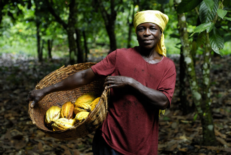 Sahel Capital Renews $2.4 Million Working Capital Facility for Ghana’s ...