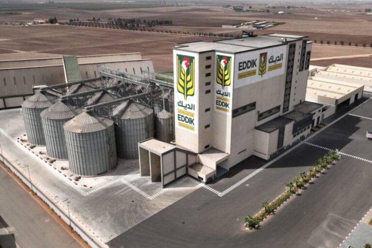 RMBV, Proparco Invest $90 Million in Morocco’s Africa Feed & Food to ...
