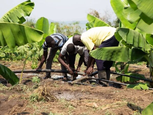 FASA Makes First Investment with $5 Million Backing for Catalyst Fund ...